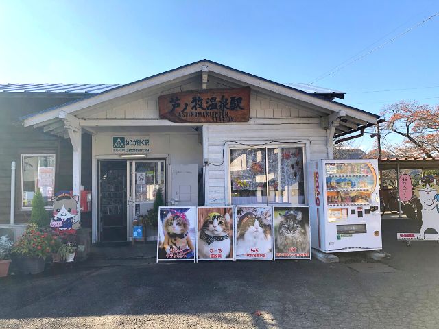 【DECCORA(デッコラ)】会津 芦ノ牧温泉の居心地抜群なおしゃれ食堂！日替わり・テイクアウトメニューも魅力的｜東北旅びより